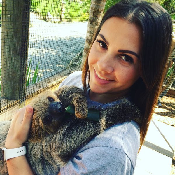 GEOGRAFI LINGKUNGAN: SLOTH : KUKANG PEMALAS YANG BERGERAK LAMBAN DARI ...