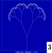 Teoria Haosului: Generarea Fractalilor