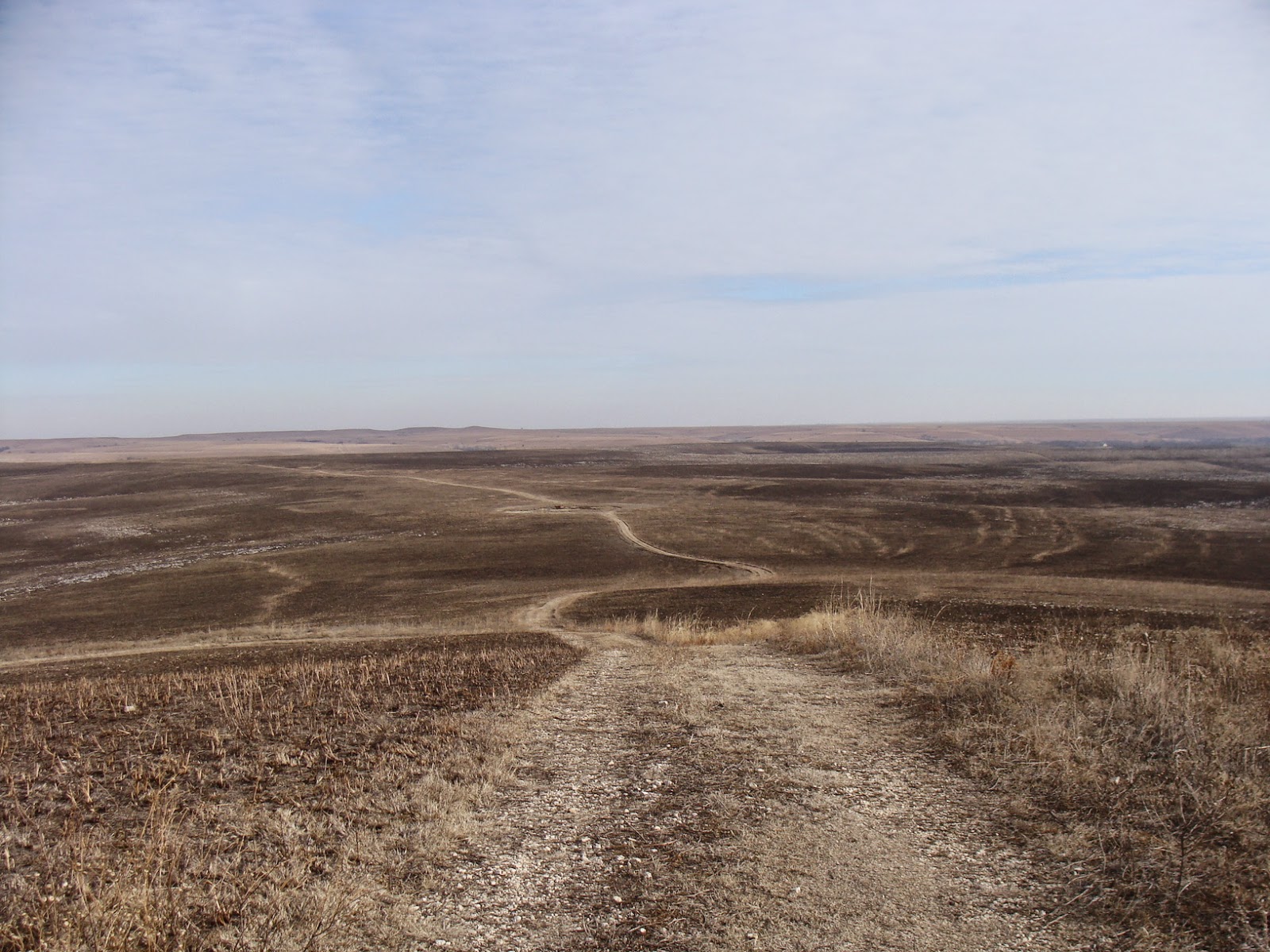 Tallgrass Prairie National Preserve | Day Drunk: Tallgrass Prairie ...