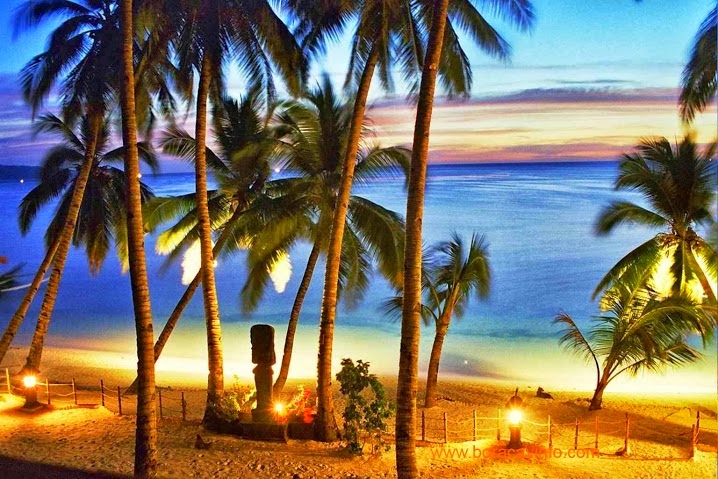 Tropical Dreams: Tropical Dreams - Part four