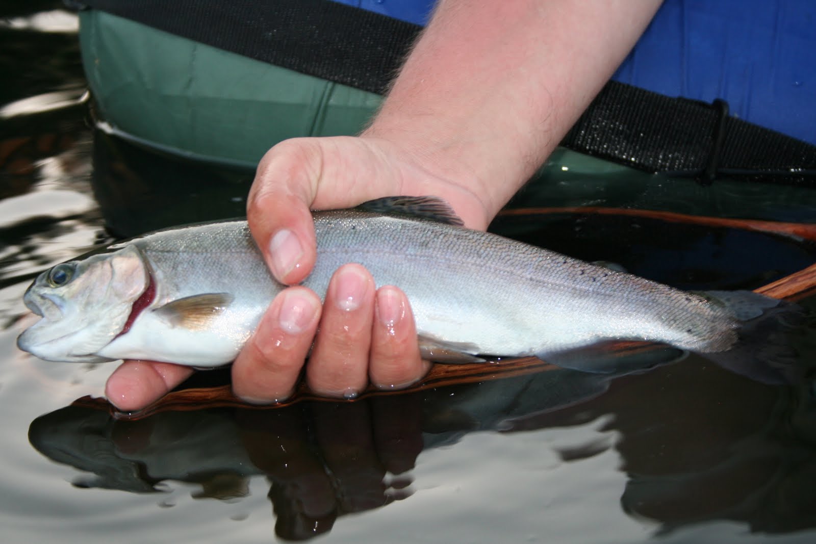 The Five Flies Fishing Club: Lake McCumber