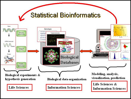 BLOGAddict: Contoh soal bioinformatika dan penyelesaiannya