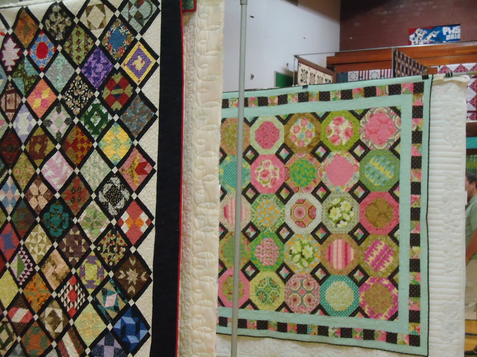 It's "SEW" Shannon: More of Quilt Walk