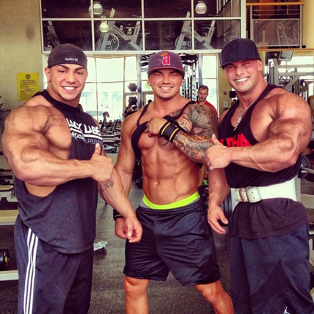 the beauty of male muscle: Joey