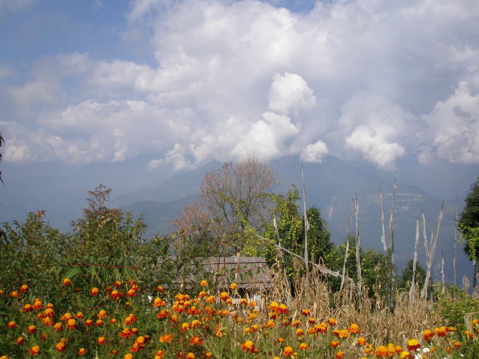 ASOCIACION CHOGAR GONG: 2010