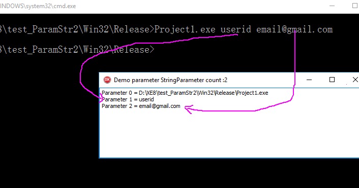 Paramstr Run Delphi Application With Command Line Parameters