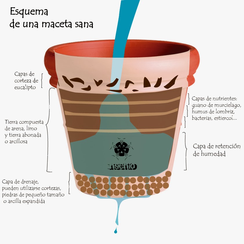 Ingenio Triana Blog: Maceto Huerto