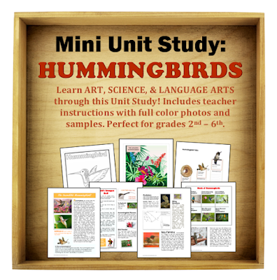 Free Mini Unit Study: Hummingbirds | JustAddCoffee- The Homeschool ...