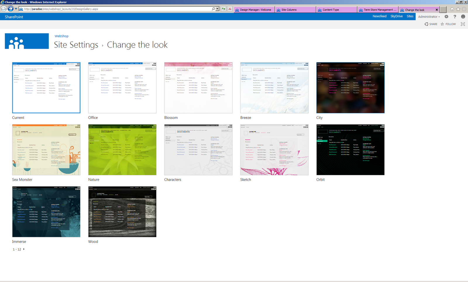 SharePoint 2013 Preview - Look and Feel Settings