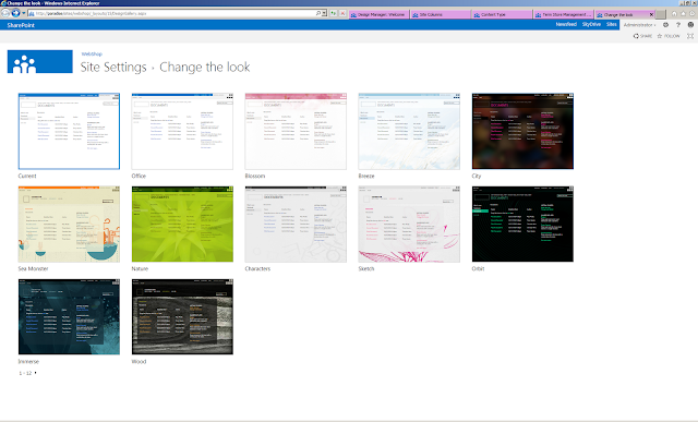SharePoint 2013 Preview - Look and Feel Settings