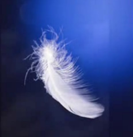 ☆Mágico y Celestial☆: La Pluma de un Ángel