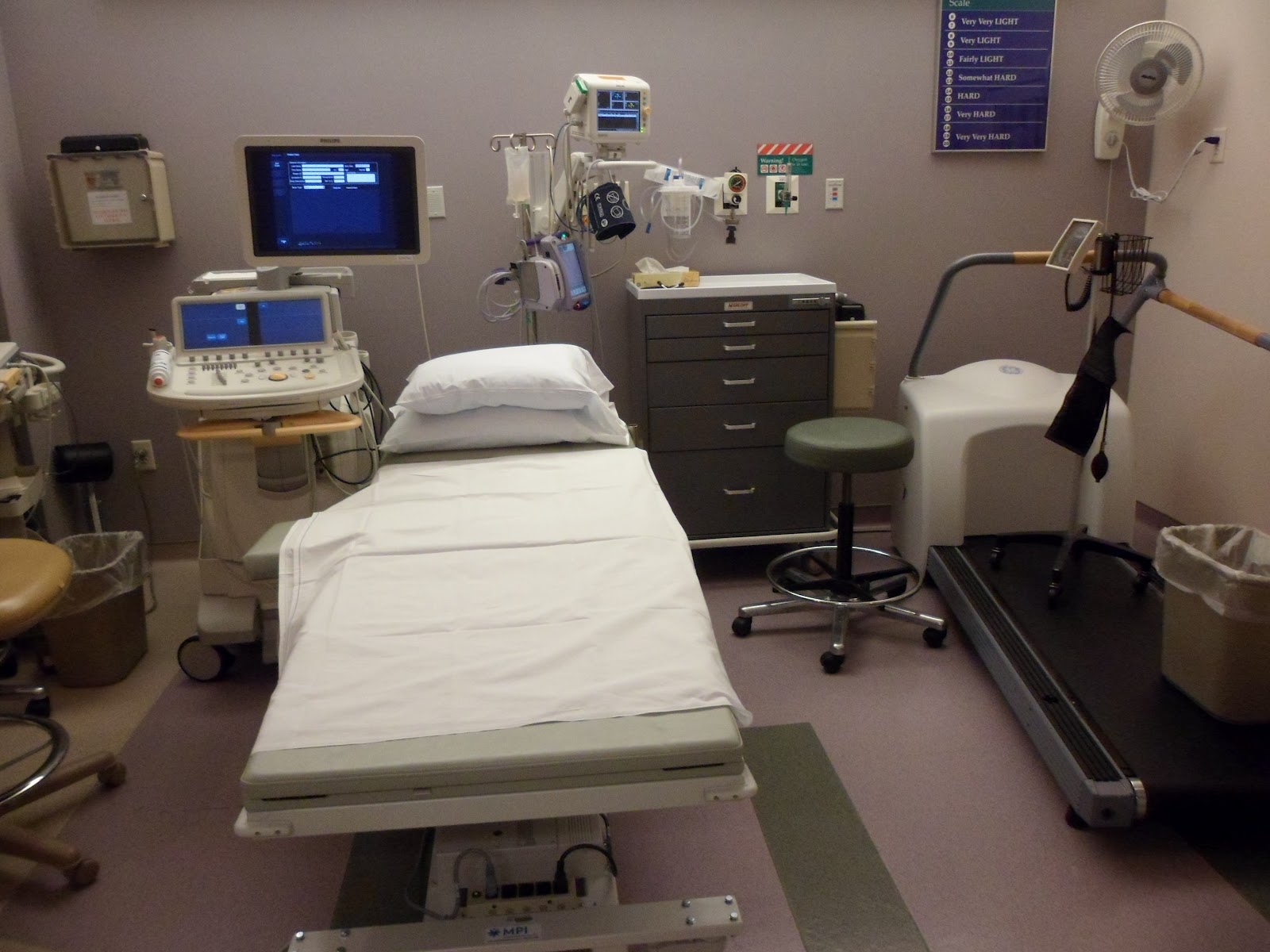 CVT Mohd Farid: The Sonographer Attachment Programme At USA Report ...