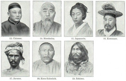 Asiatic Mongoloid 🇨🇳🇯🇵🇰🇷