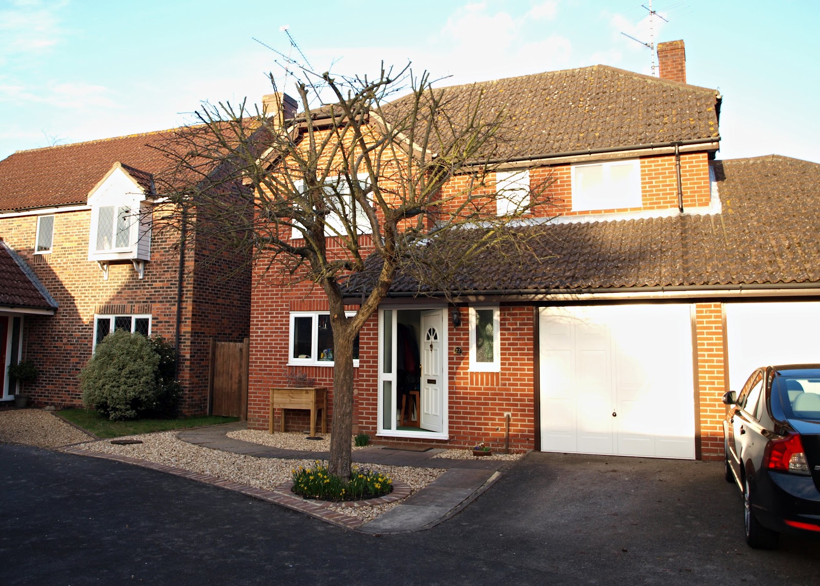 Mark's Veg Plot: Pruning