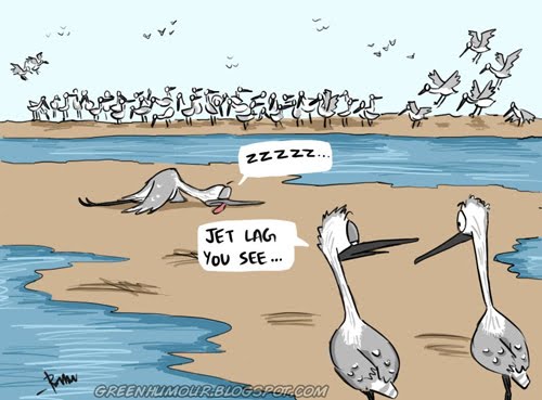 Green Humour: October 2010