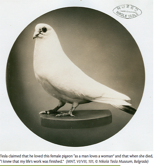 INSTITUTO DE BIOLOGIA & INGENIERIA DE ECOSISTEMAS: NIKOLA TESLA ...