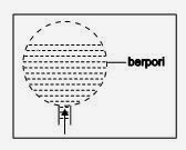 Besta's Blog: Evaporasi