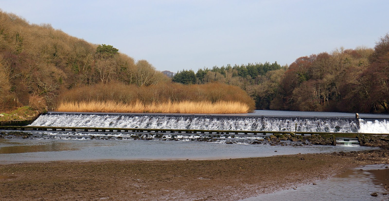 Arwen's meanderings: Dinghy cruising, Lopwell dam on the River Tavy