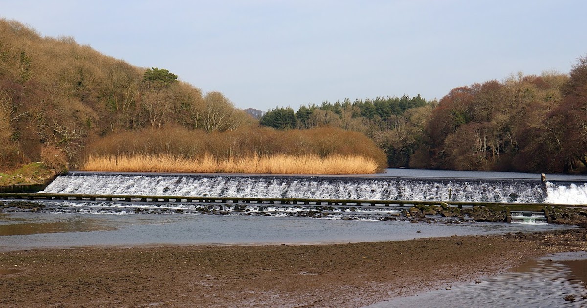 Arwen's meanderings: Dinghy cruising, Lopwell dam on the River Tavy