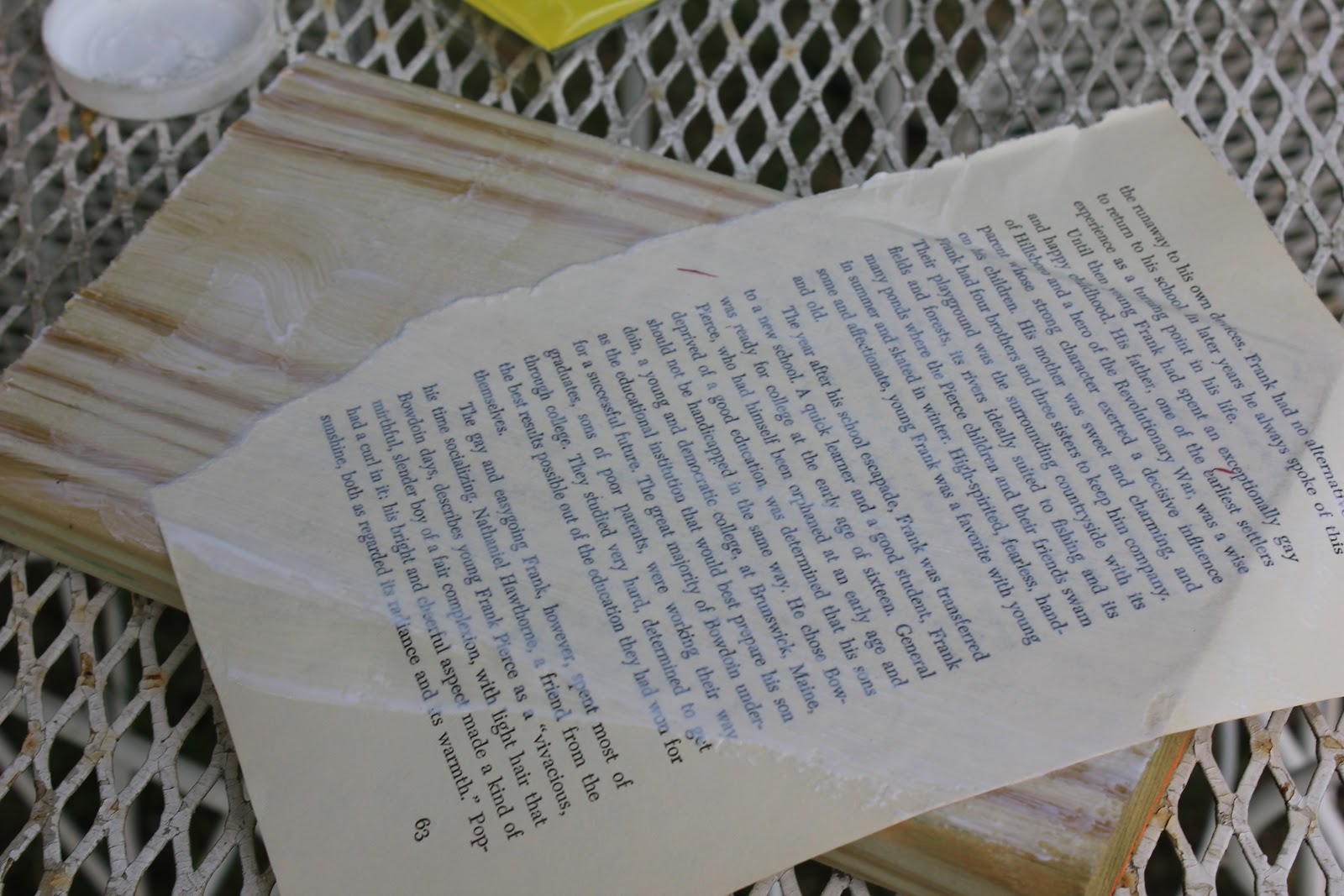 Henrietta & Clementine: Book Page Art