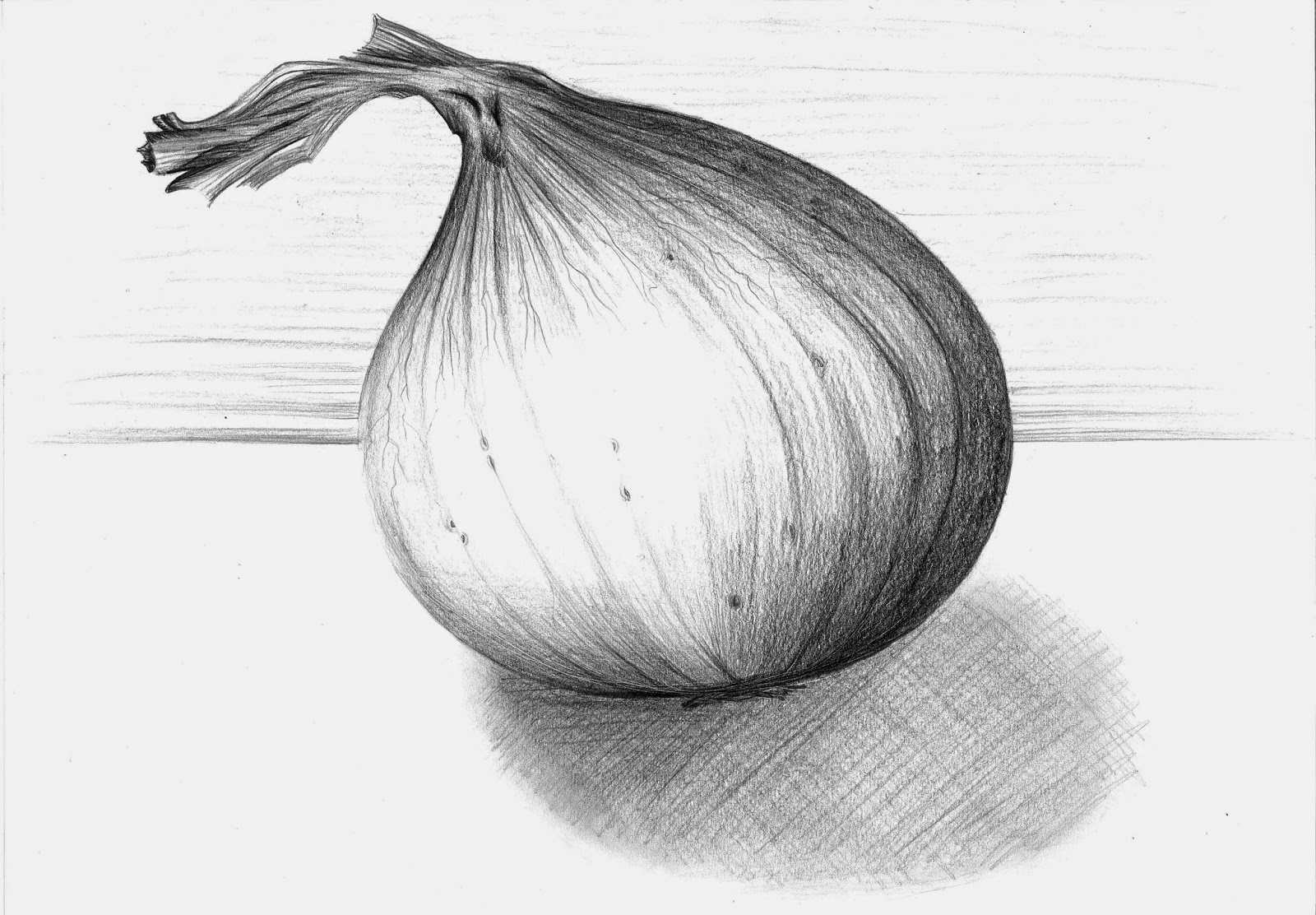 Thora Storm.KUNST DESIGN OG ARKITEKTUR: Tegning av løk