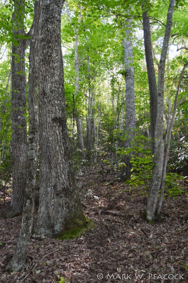 Appalachian Treks: White House Cliffs Trail