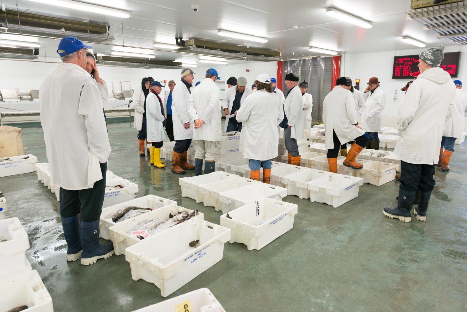 Actual Colour: Brixham Fish Market