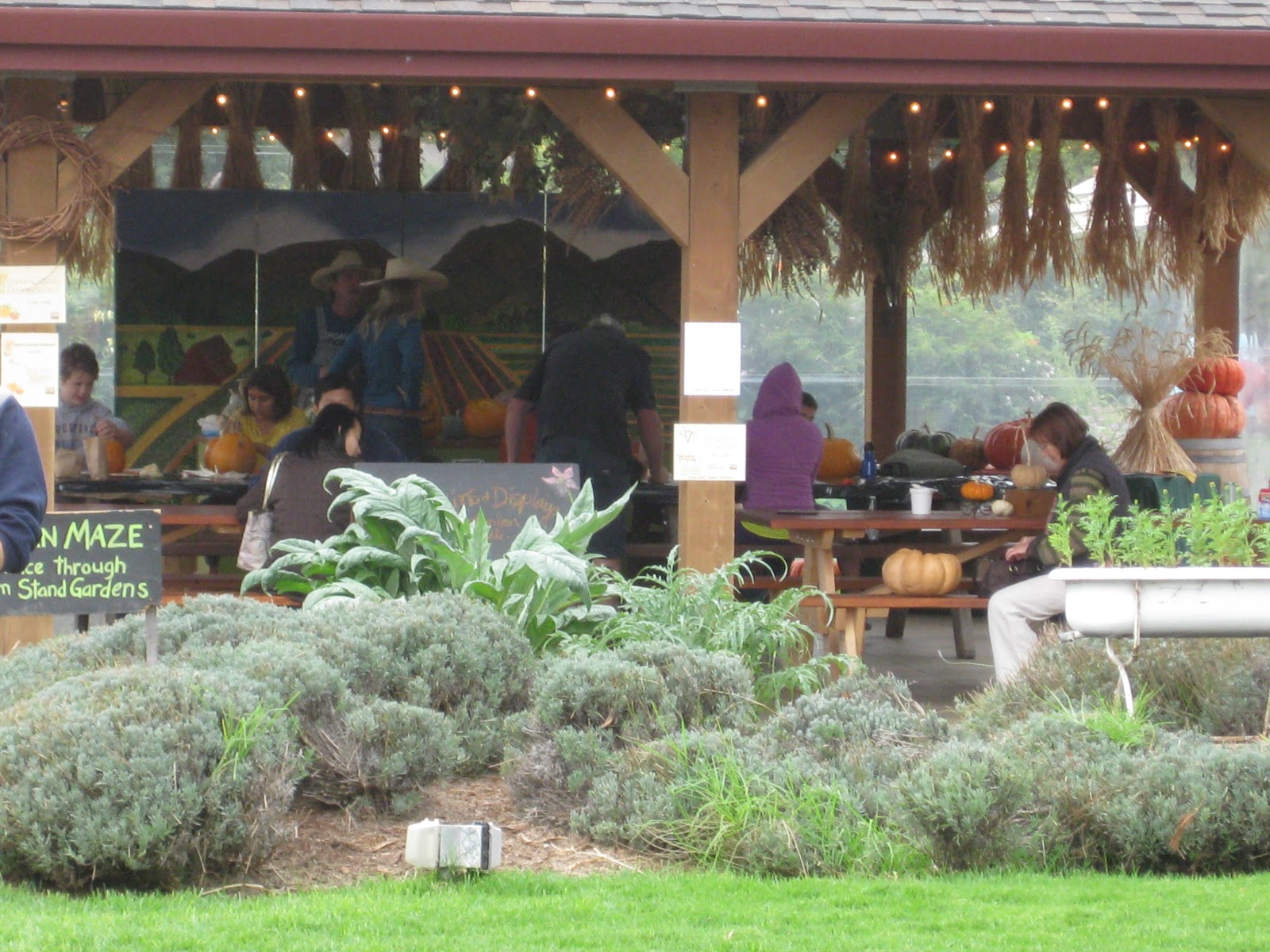 the-pastry: Out+About Outta Town -- Earthbound Farm Stand in Carmel Valley