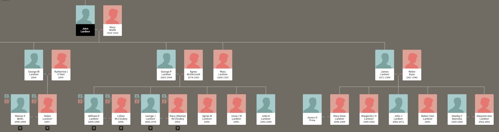 The Lardners of County Clare: Family of John Lardner and Mary Wolf ...