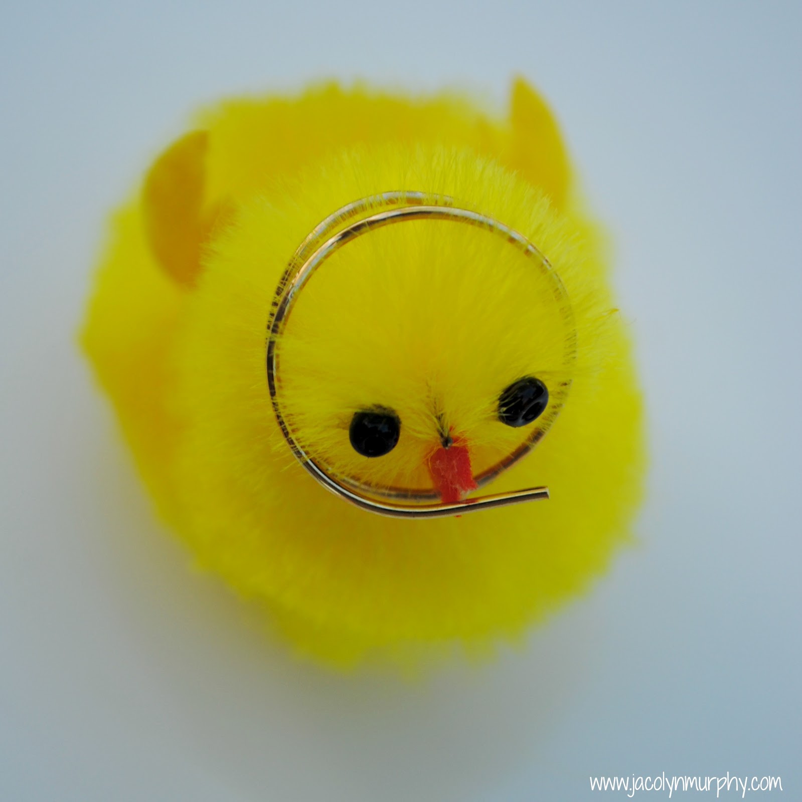Jac o' lyn Murphy: Easter Chicks that are so "Attractive"!