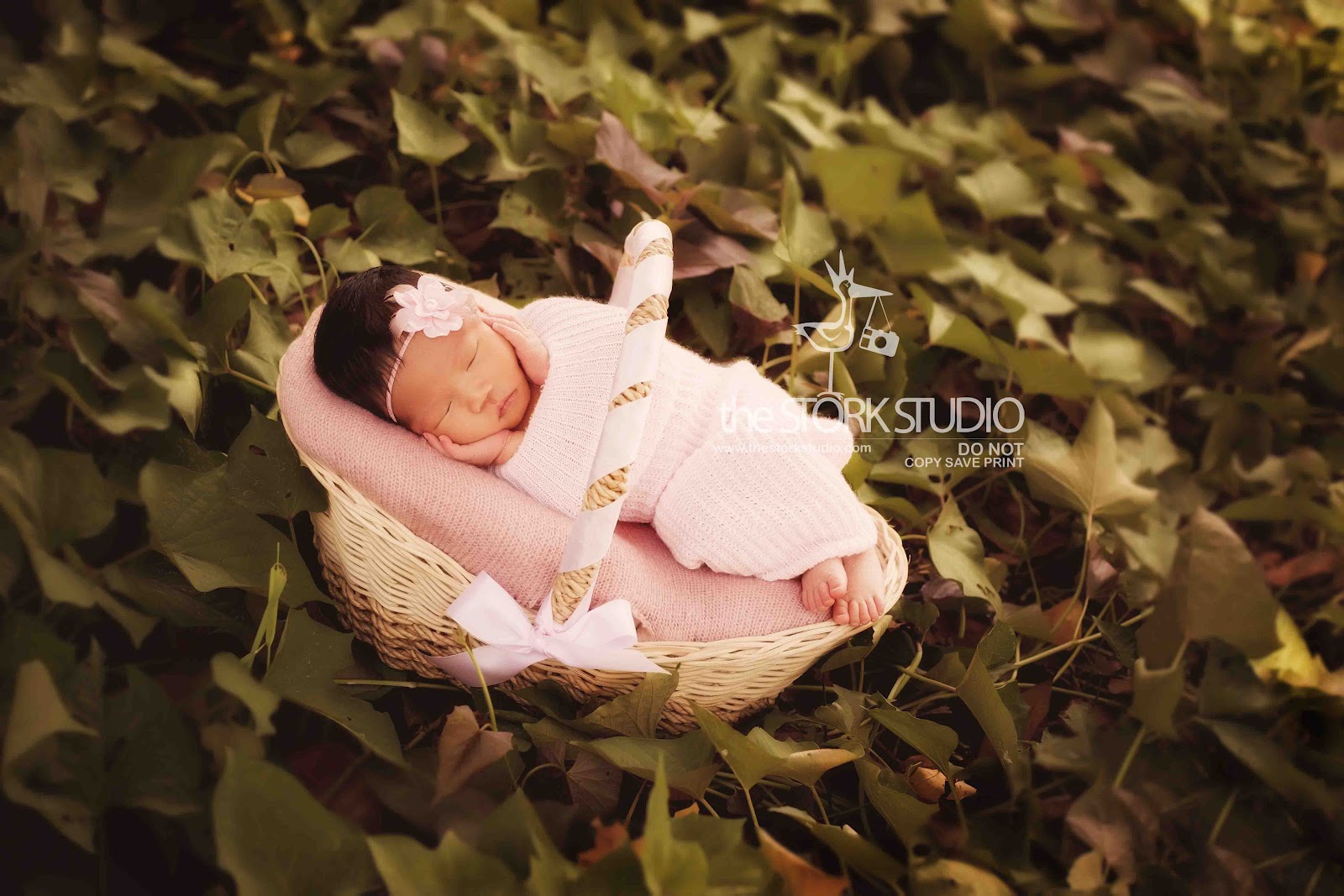 Bouncing behind the lens: Newborn Photography Philippines Asia: The ...