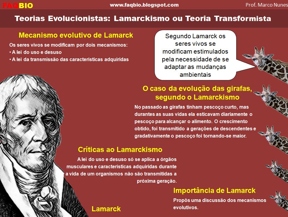 O Que E Transformismo - LIBRAIN