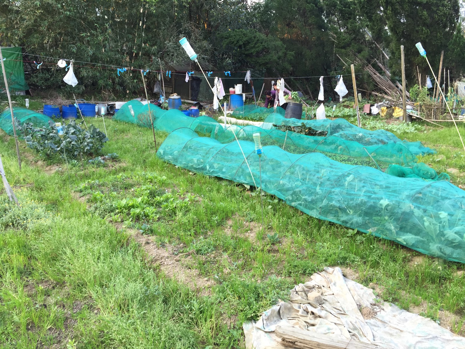 我的產房初體驗：迎接滾滾的誕生｜家有雙寶系列 | Jay Hello La