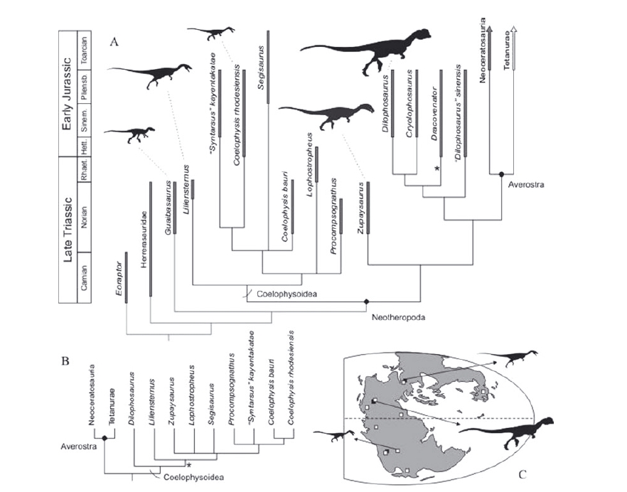 Evolutionary Vertebrate Zoology: December 2012