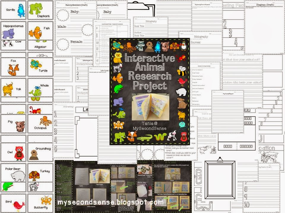 My Second Sense: Interactive Animal Research