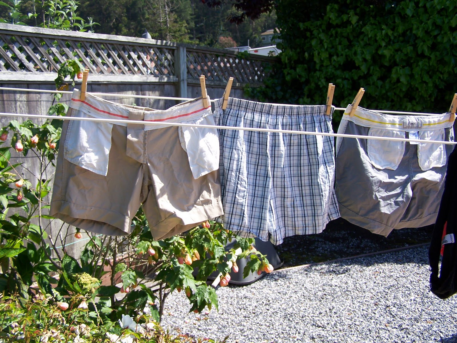 Living sustainably: Hanging clothes out to dry - Treading Lightly