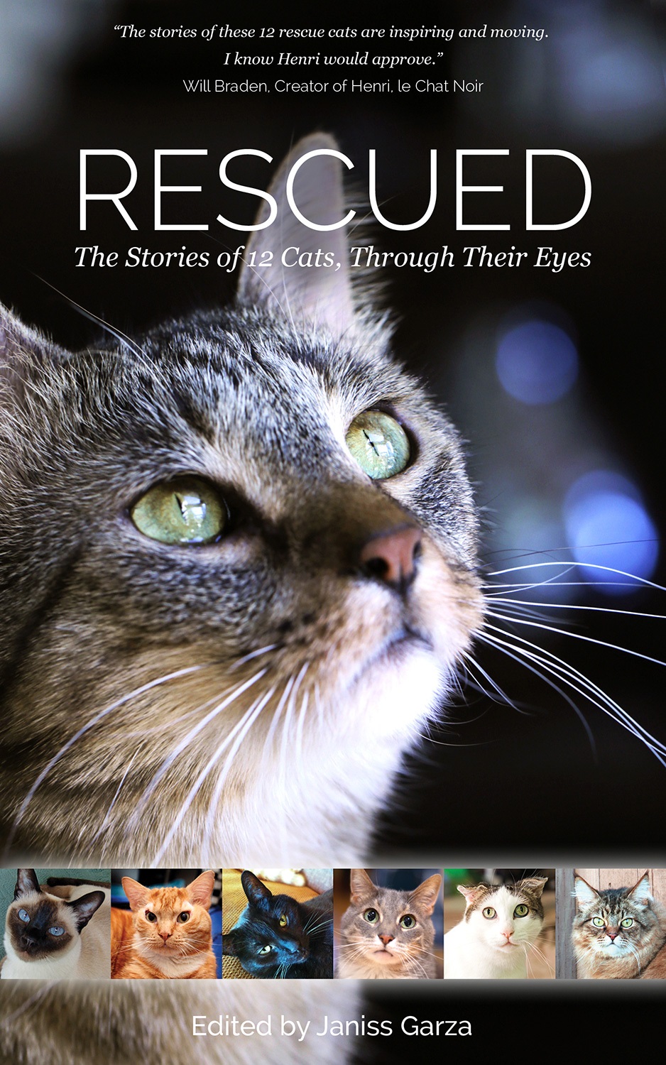 Cat and DOG Chat With Caren: Cat Books: Our Faves of 2015