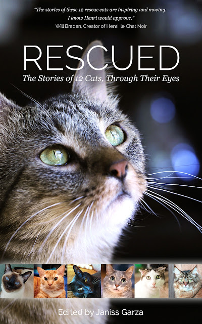 Cat and DOG Chat With Caren: Cat Books: Our Faves of 2015