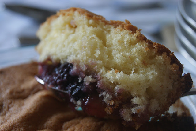 Apple and blackberry sponge pudding recipe... - Frills 'n' Spills