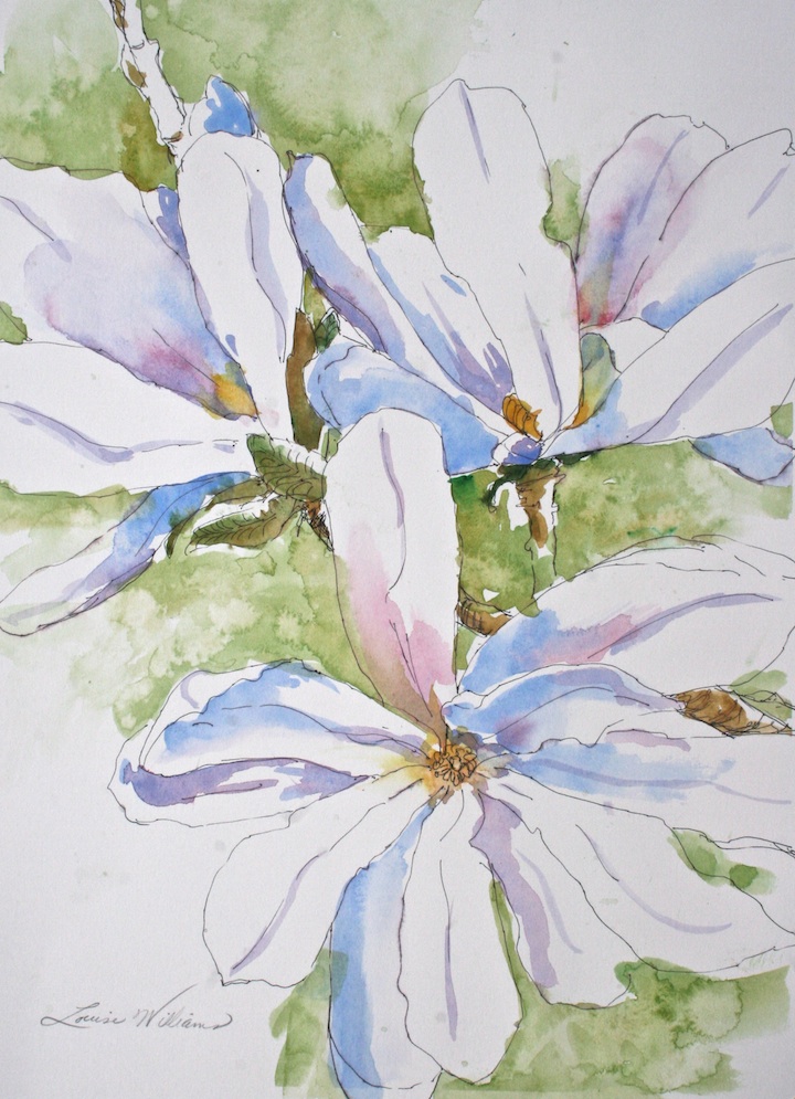 L. Williams Studio: Ink and wash magnolias