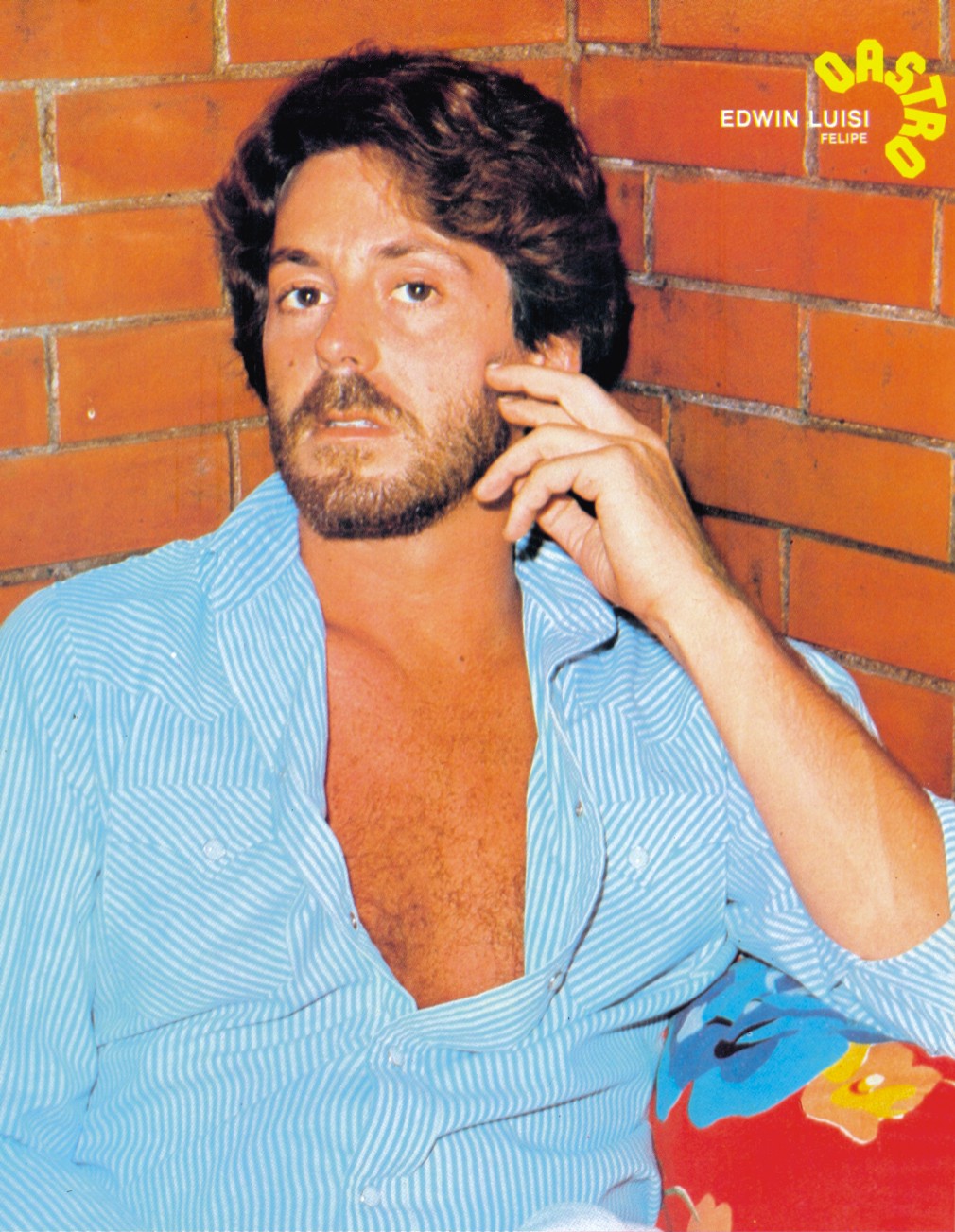 Astros em Revista: EDWIN LUISI O GALÃ DA NOVELA BRASILEIRA MAIS VISTA ...