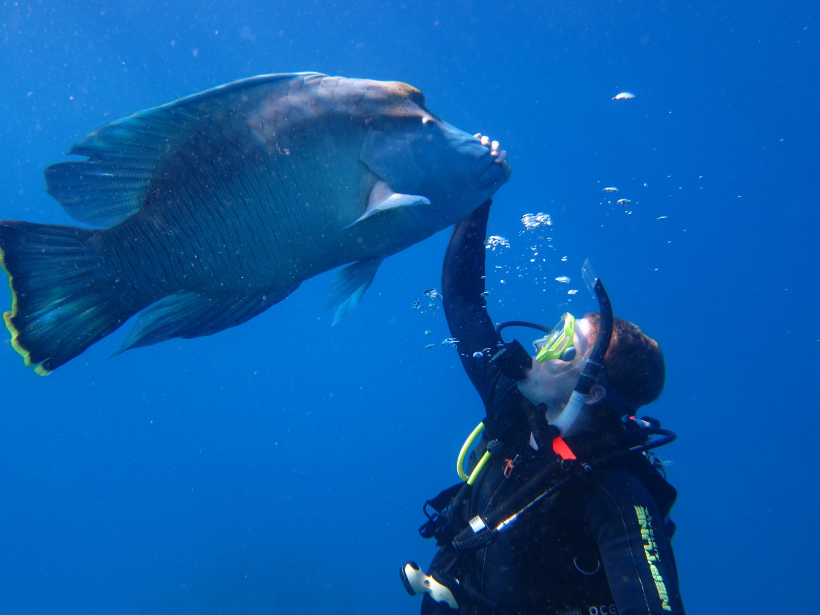 Same Same but Different