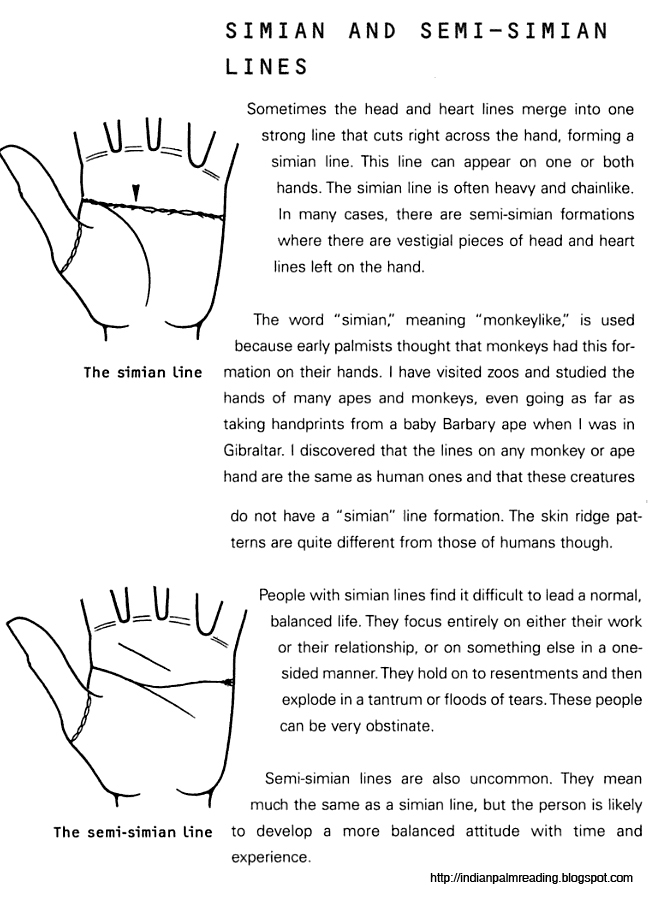 Simian Lines And Semi-Simian Lines Palmistry | INDIAN PALM READING ...