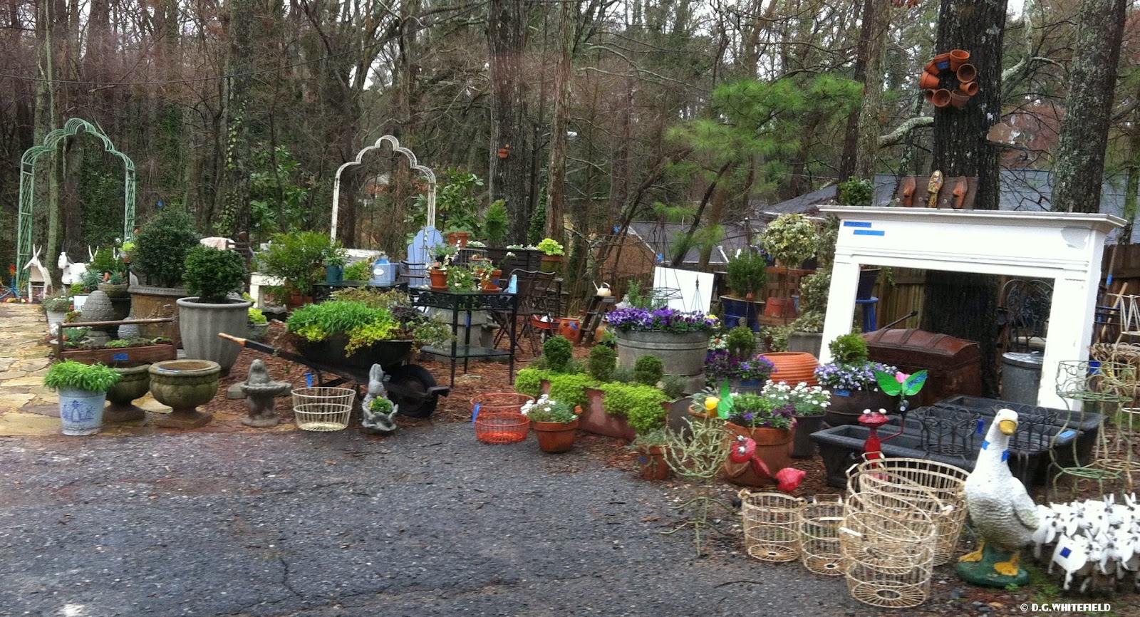 NEXT STOP...DECATUR: Kudzu & Company of Sandy Springs