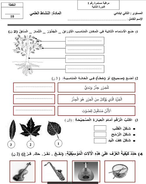 النموذج الثاني الفرض الكتابي الأول 1 في مادة النشاط العلمي السنة