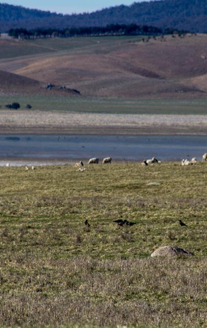 Landlocked Lake Basin Falls, New South Wales Lake George, Lake Bathurst ...