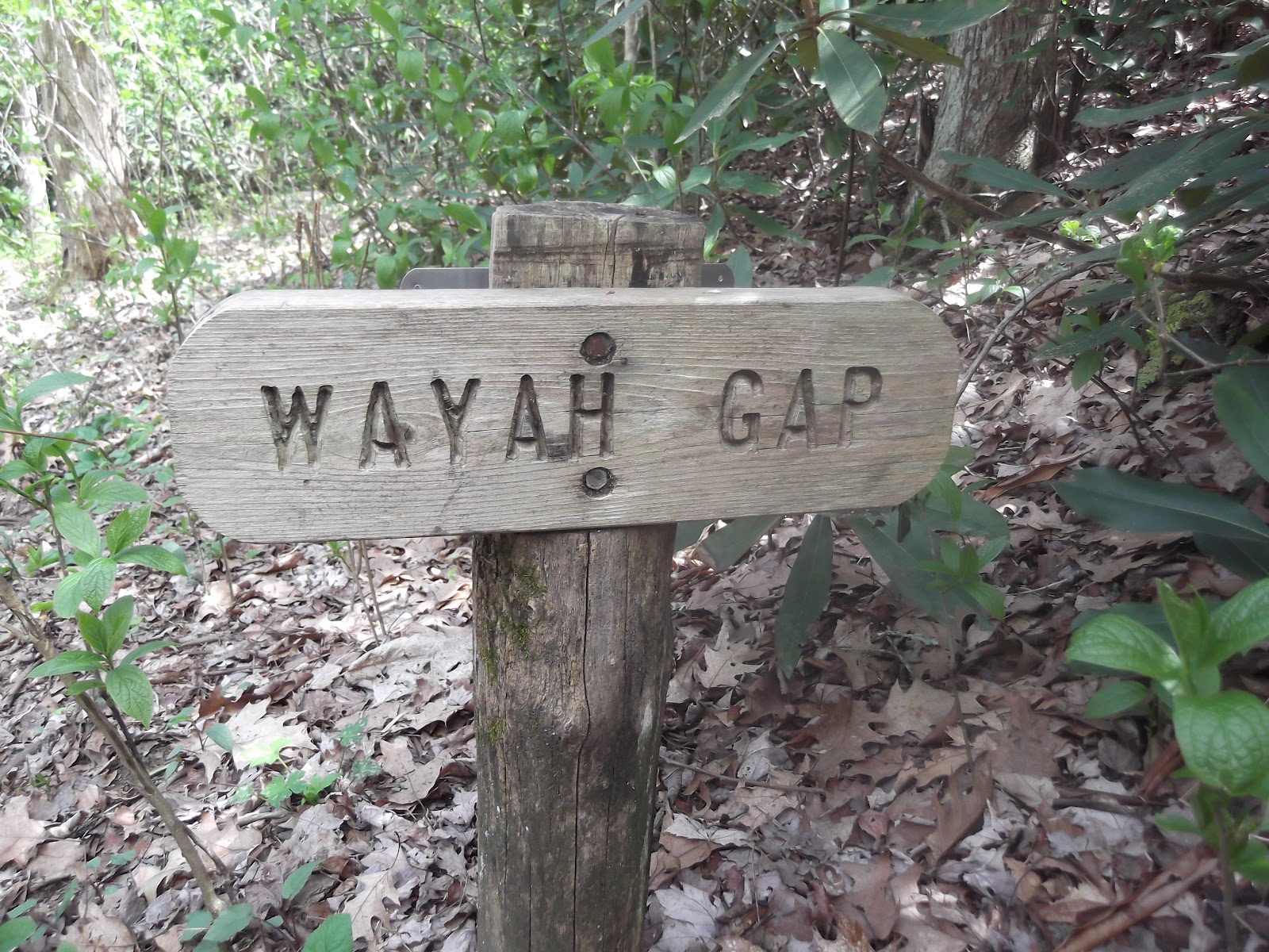 Appalachian Trail Section hiking: Winding Stair Gap to Wayah Shelter
