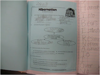 Sweet Teach: Science Notebooking: Animal Adaptations