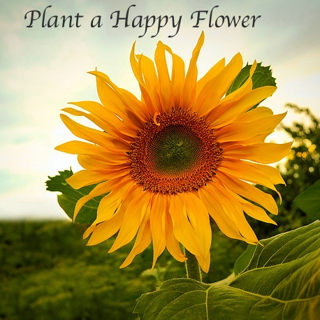 Muscle Loss Prevention Treatments