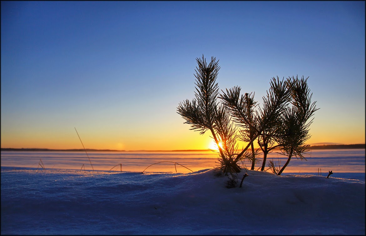 Valtteri Mulkahainen - igra svetlucavih perli ~ F I N S K A